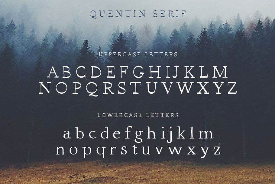 Quentin手写感字体ui设计ui教程 Uirush素材库net